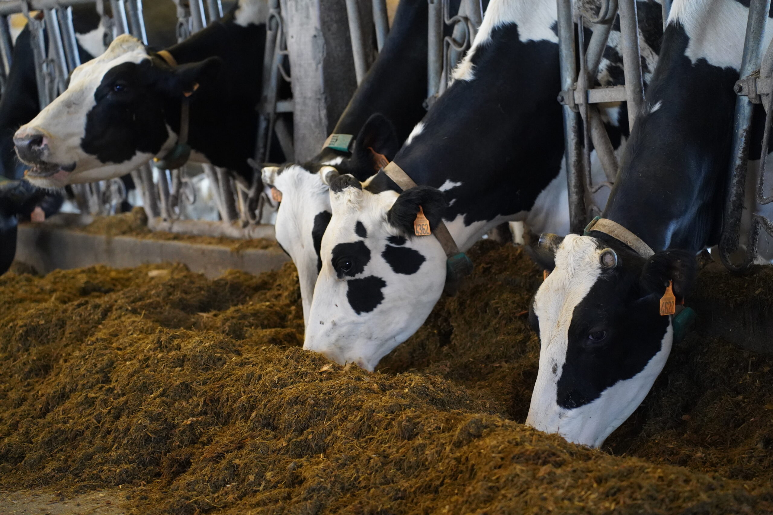 La Ferme des Peupliers, une aventure humaine - CC Lyons Andelle