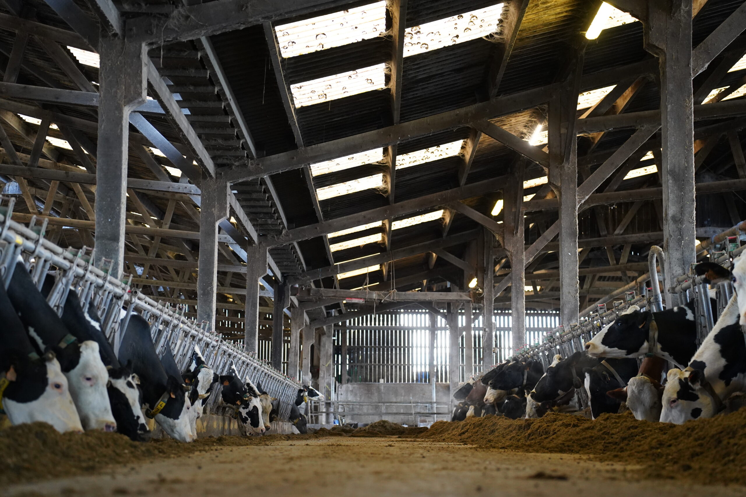 La Ferme des Peupliers, une aventure humaine - CC Lyons Andelle